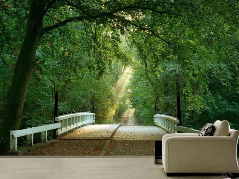Sagano Bamboo Forest Wall Mural | Green Design for Walls | About Murals