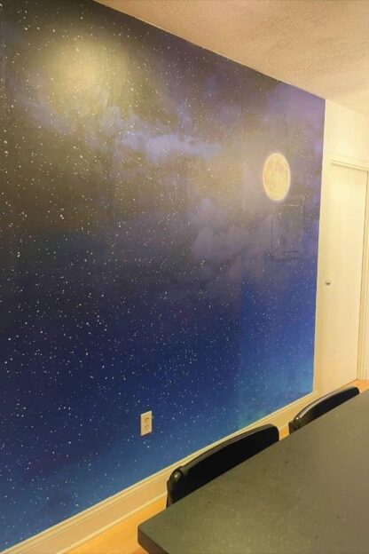 Night Sky Mural | About Murals