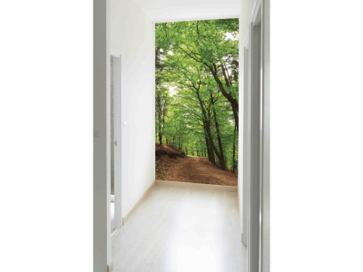 Path of Light Wall Mural | Autumn Forest Design | About Murals