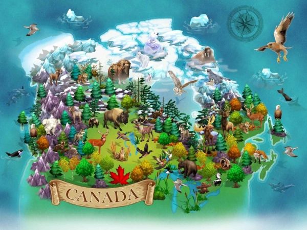 Animal Map Wallpaper of Canada | About Murals