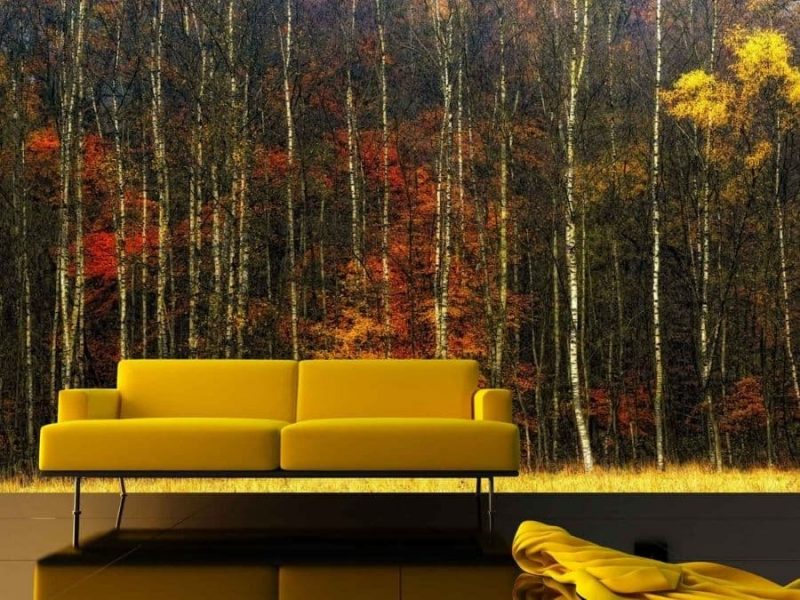 Moody Fall Wallpaper | About Murals Canada