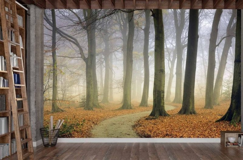 Autumn Road Wallpaper | About Murals