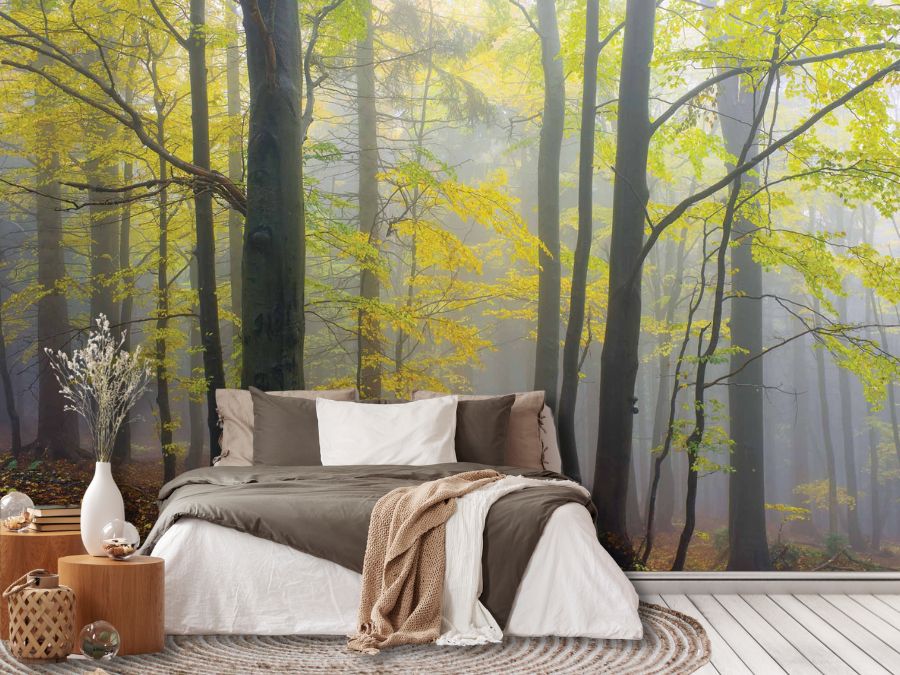 Wallpaper Autumn
