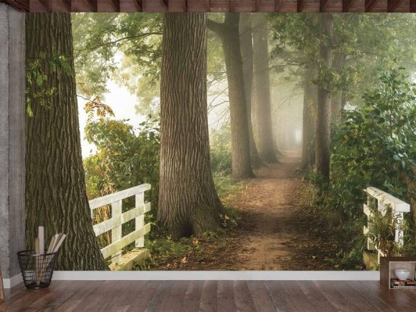 Nature Trail Wallpaper | About Murals Canada
