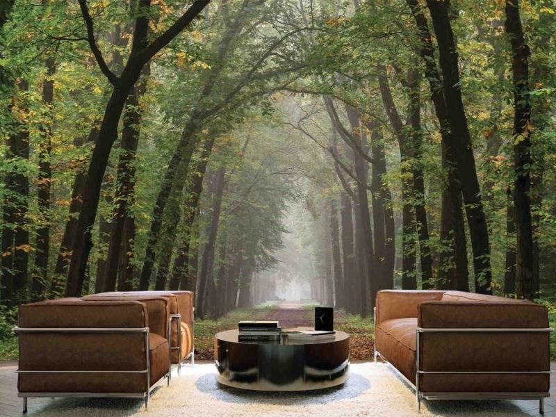 Path Wallpaper | About Murals