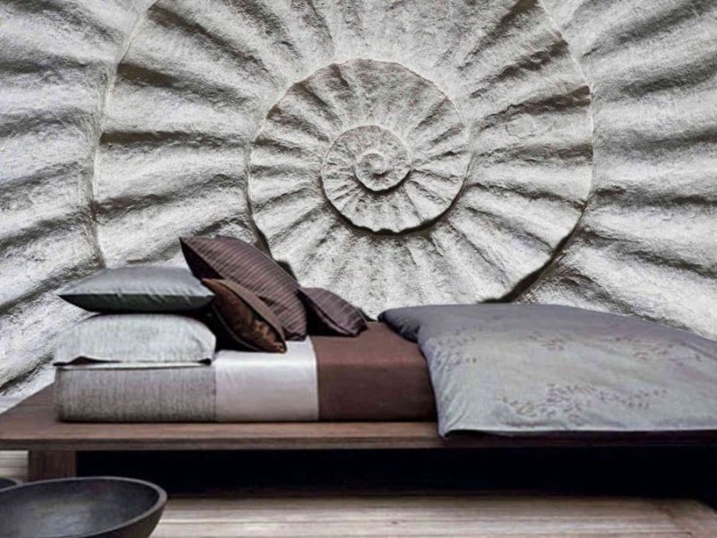 Fossil Wallpaper | About Murals