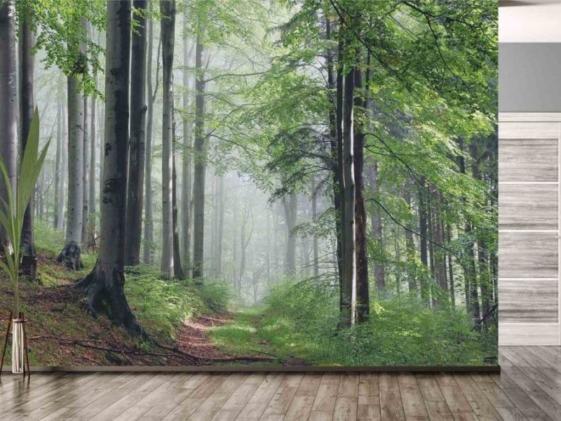 Large Forest Wallpaper | About Murals Canada