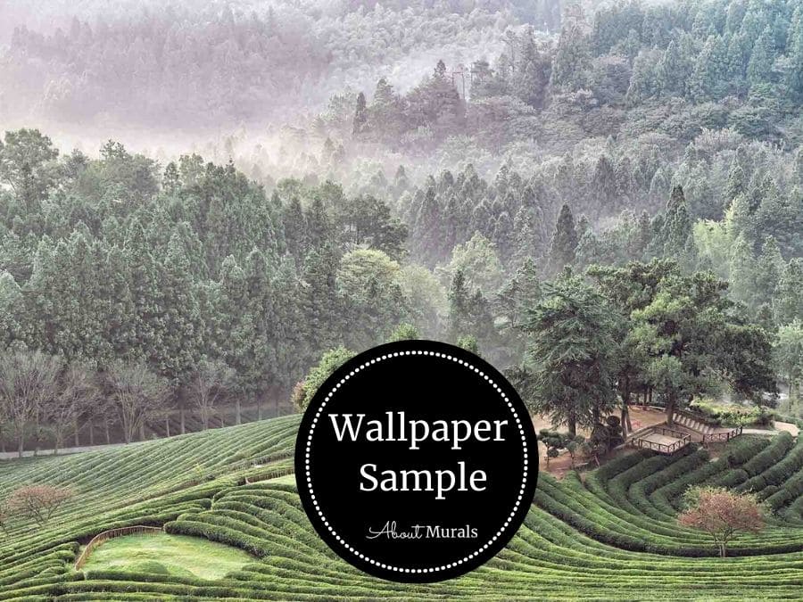 Tea Farm Wallpaper